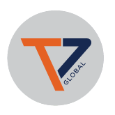 T7GLOBAL 0.285 (-0.010 -3.3900%)